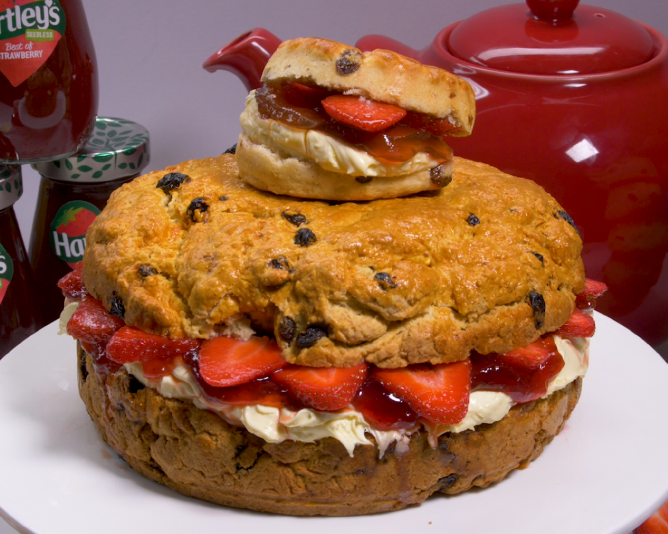 Giant Scone - Planet Food